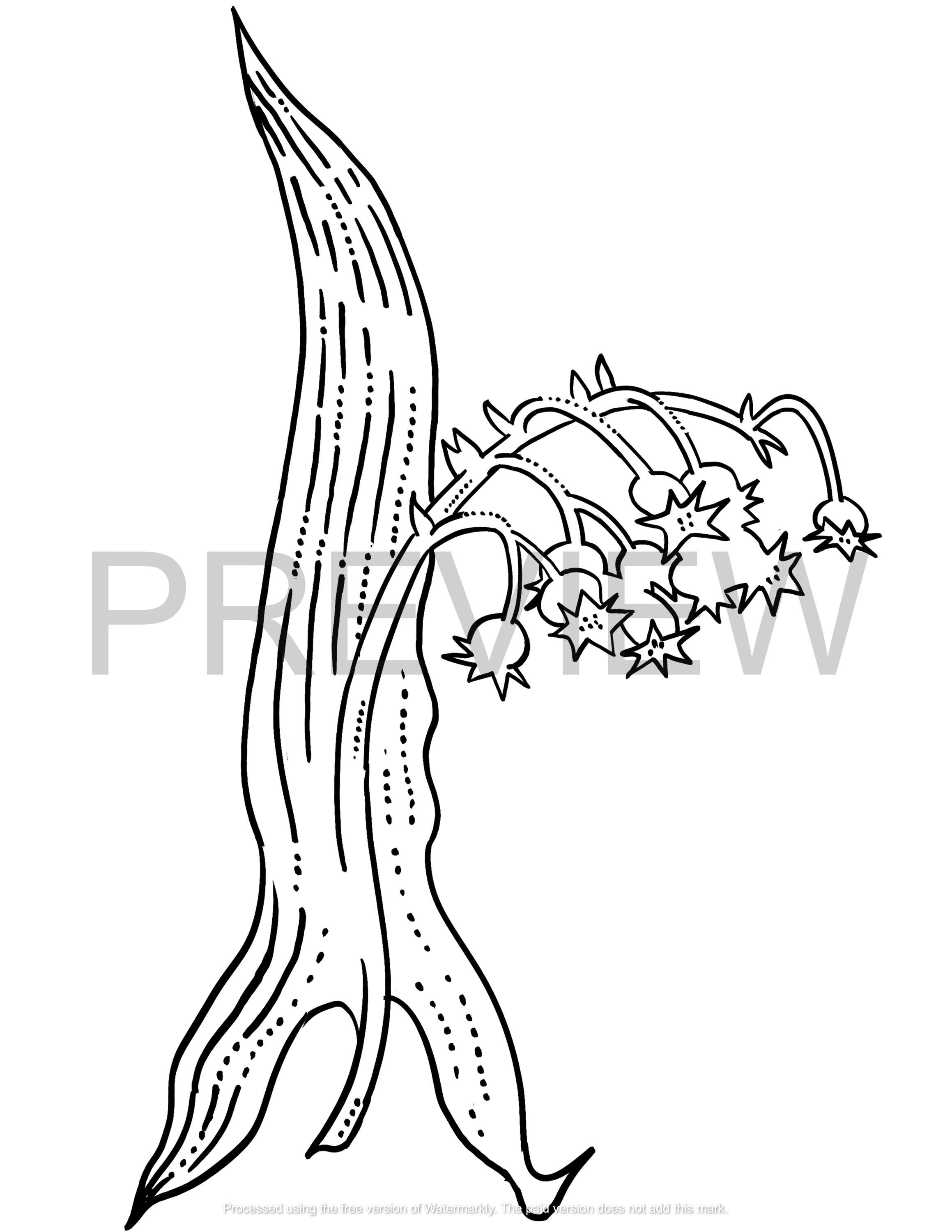 Hand Drawn Flower Coloring Page - European Dewdrop - Etsy