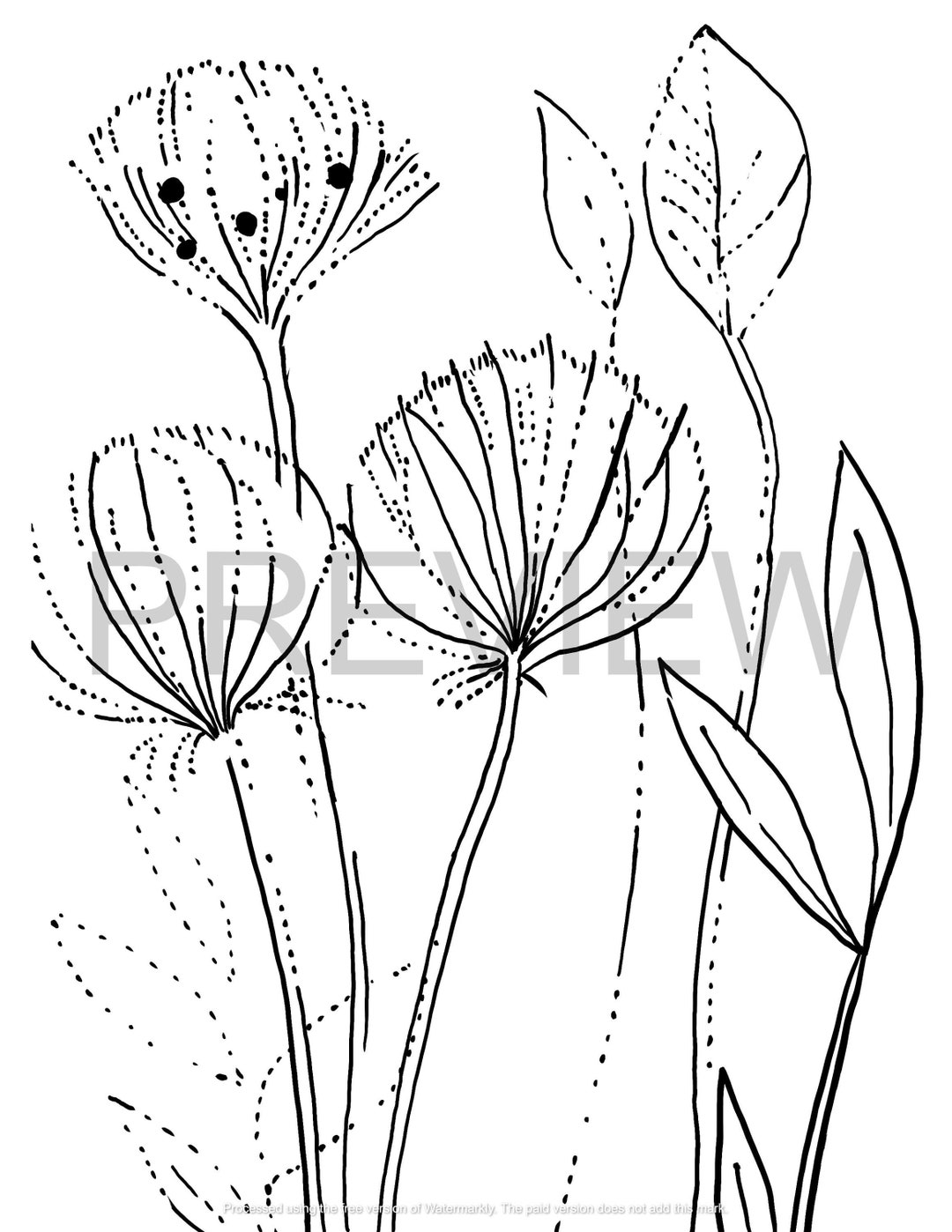 Hand Drawn Flower Coloring Page - Papyrus Petal (digital) - Etsy