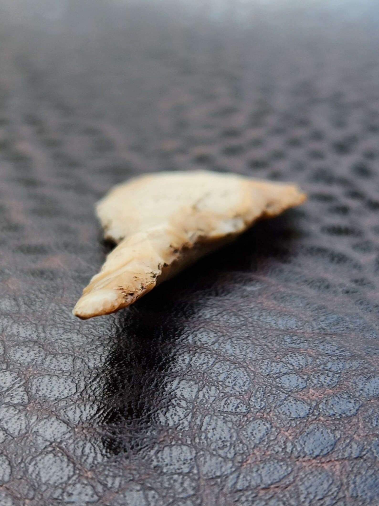 Native American Artifacts: Micro-drill, Awl, Leather Punch - Etsy