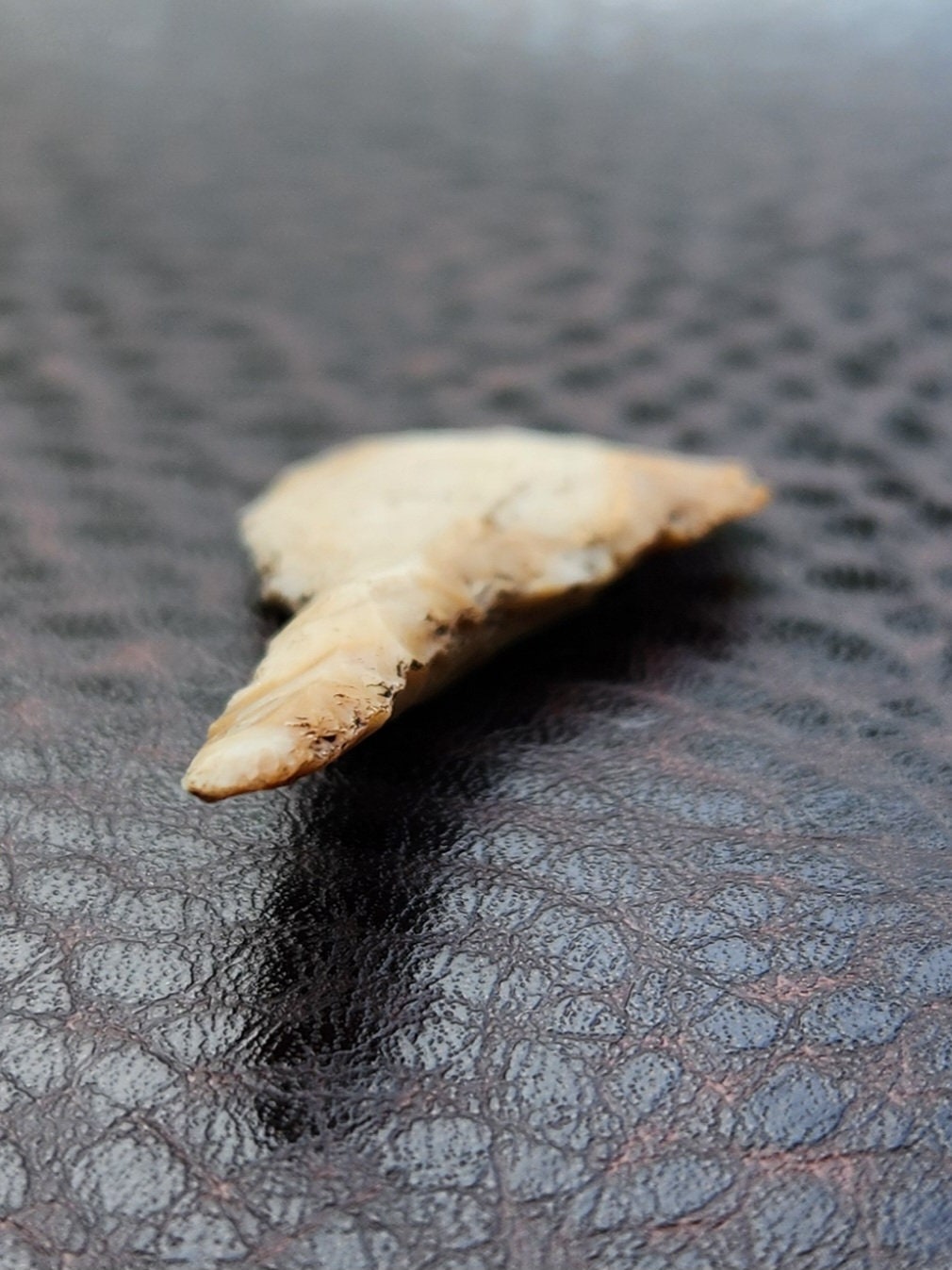 Native American Artifacts: Micro-drill, Awl, Leather Punch - Etsy