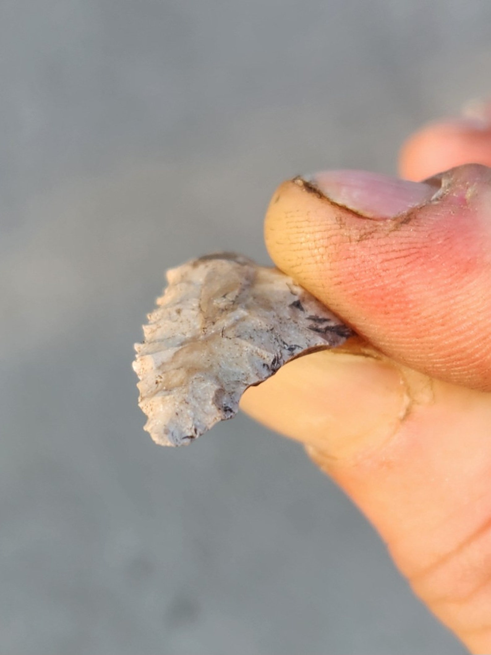 Native American Artifacts: Madison Triangular Arrowhead/projectile ...