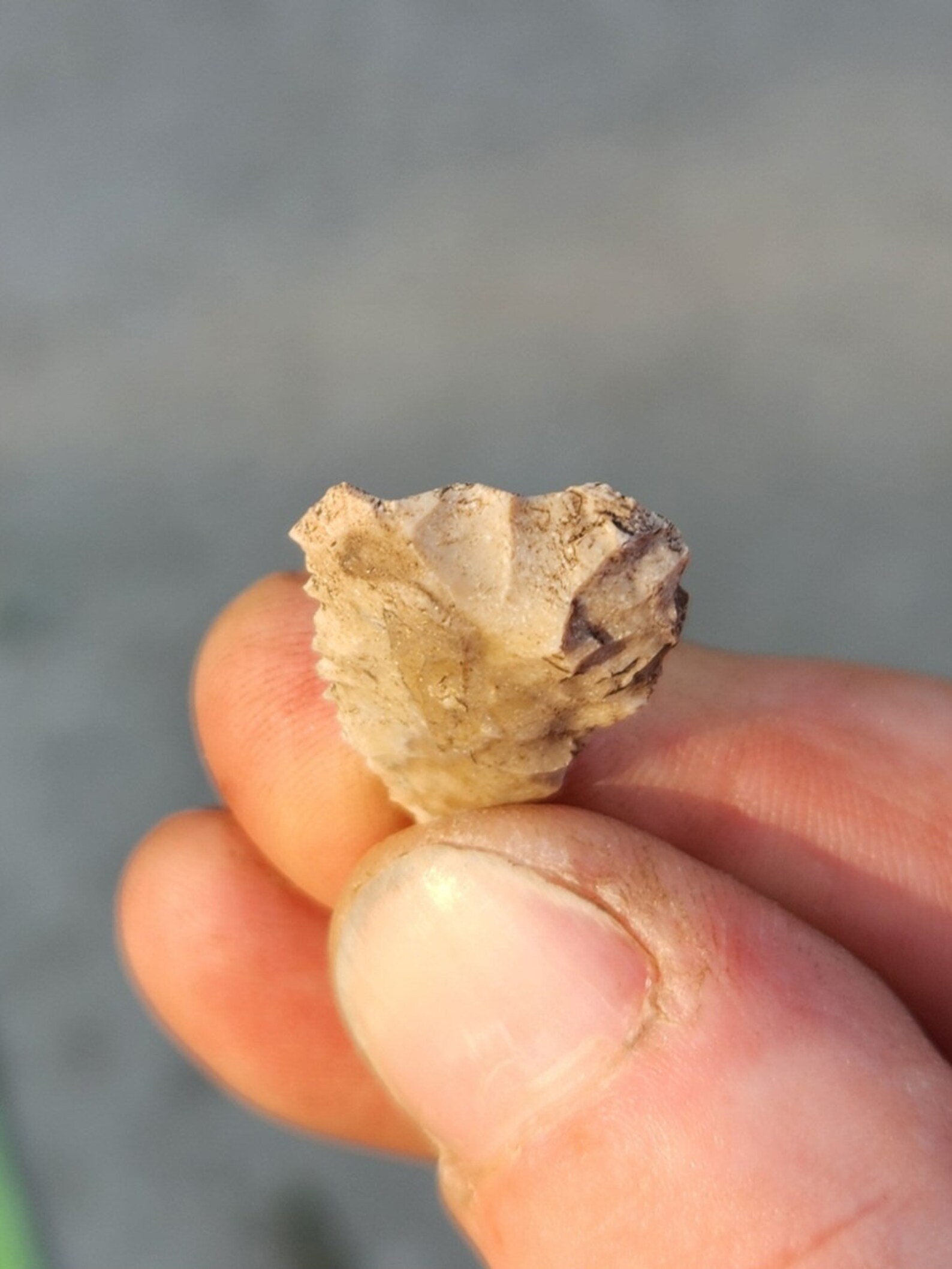 Native American Artifacts: Madison Triangular Arrowhead/projectile ...