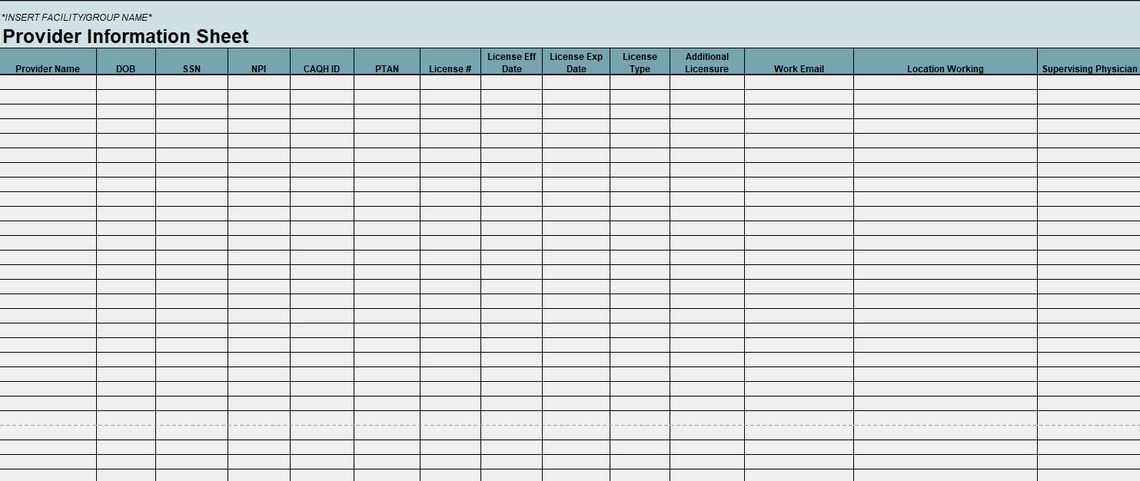 Credentialing/provider Enrollment Spreadsheet Package - Etsy