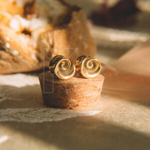 Swirl Ear Gauges Gauge & Plug Earrings Spiral Ear Gauges Saddle Plugs ...