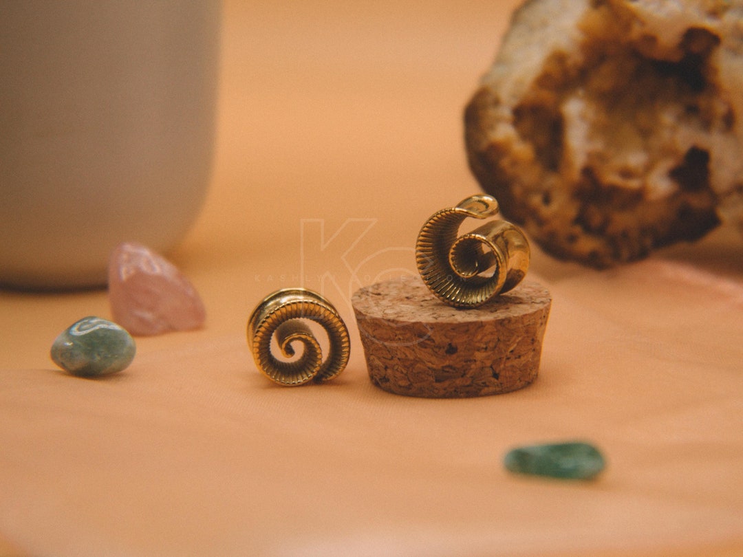 Swirl Ear Gauge With Pattern Gauge & Plug Earrings Saddle Plug Gauges for Stretched Ears Spiral ...