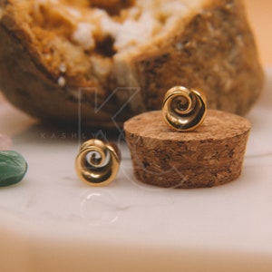 Swirl Ear Gauges Gauge & Plug Earrings Spiral Ear Gauges Saddle Plugs Gauges for Stretched Ears ...