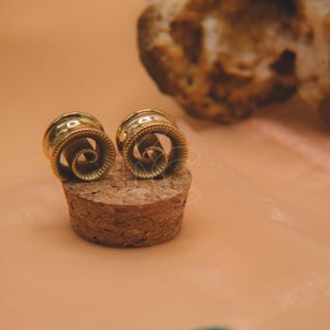 Swirl Ear Gauge With Pattern Gauge & Plug Earrings Saddle Plug Gauges for Stretched Ears Spiral ...