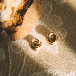 Swirl Ear Gauges Gauge & Plug Earrings Spiral Ear Gauges Saddle Plugs ...