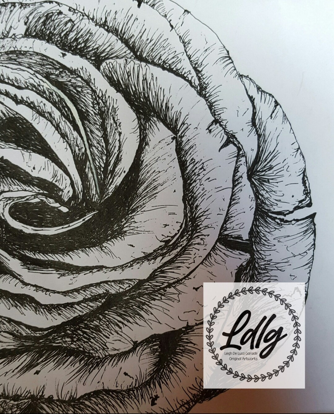 Split Rose A4 Limited Edition Print Run of 100 Only Signed and Numbered ...