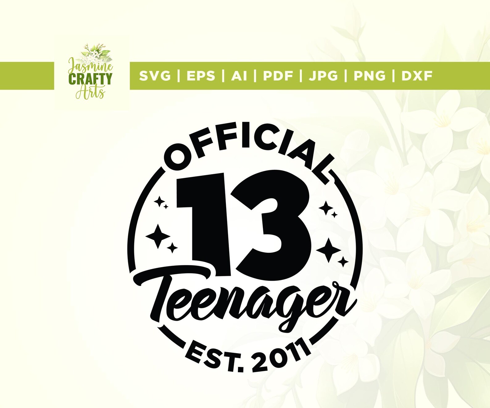 13 Official Teenager Svg, 13th Birthday Girl Svg, Cricut, Sublimation ...