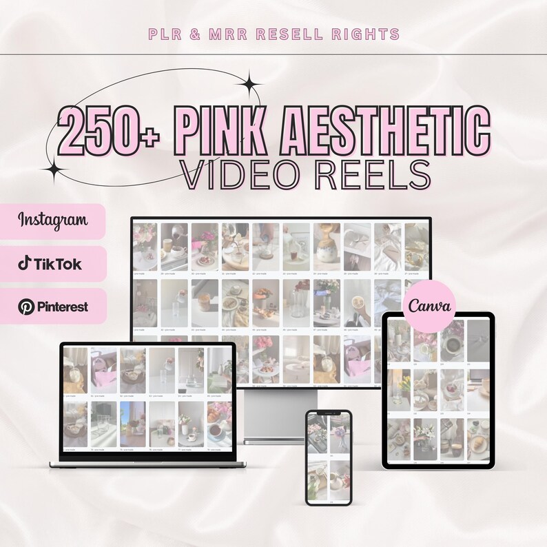 250 Pink Aesthetic Faceless Reels Pink MRR PLR Faceless Digital ...