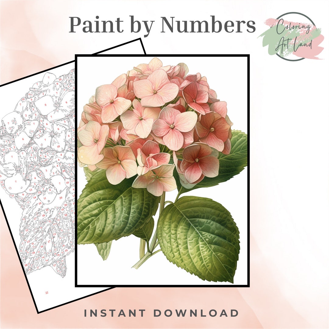 Pink Hydrangea, Paint by Numbers, Flowers Coloring Pages, Color by ...