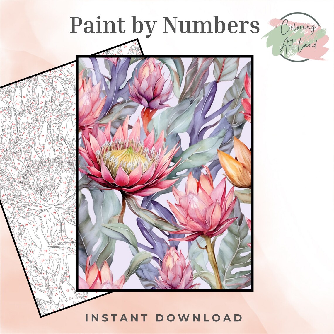 Protea Paint by Numbers, Flowers Coloring Pages, Color by Numbers ...