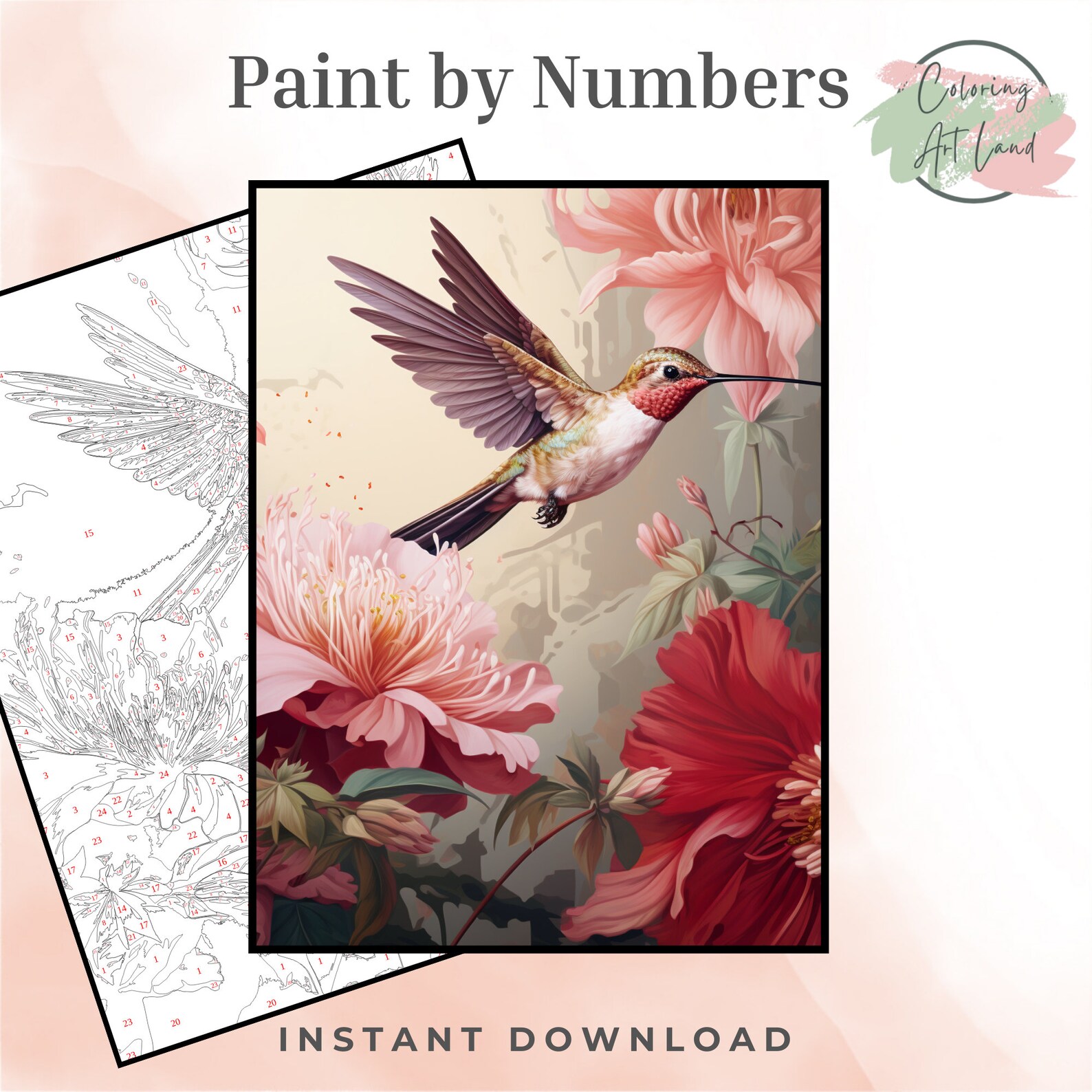 Beautiful Hummingbird Paint by Numbers, Animal Coloring Pages, Color by ...