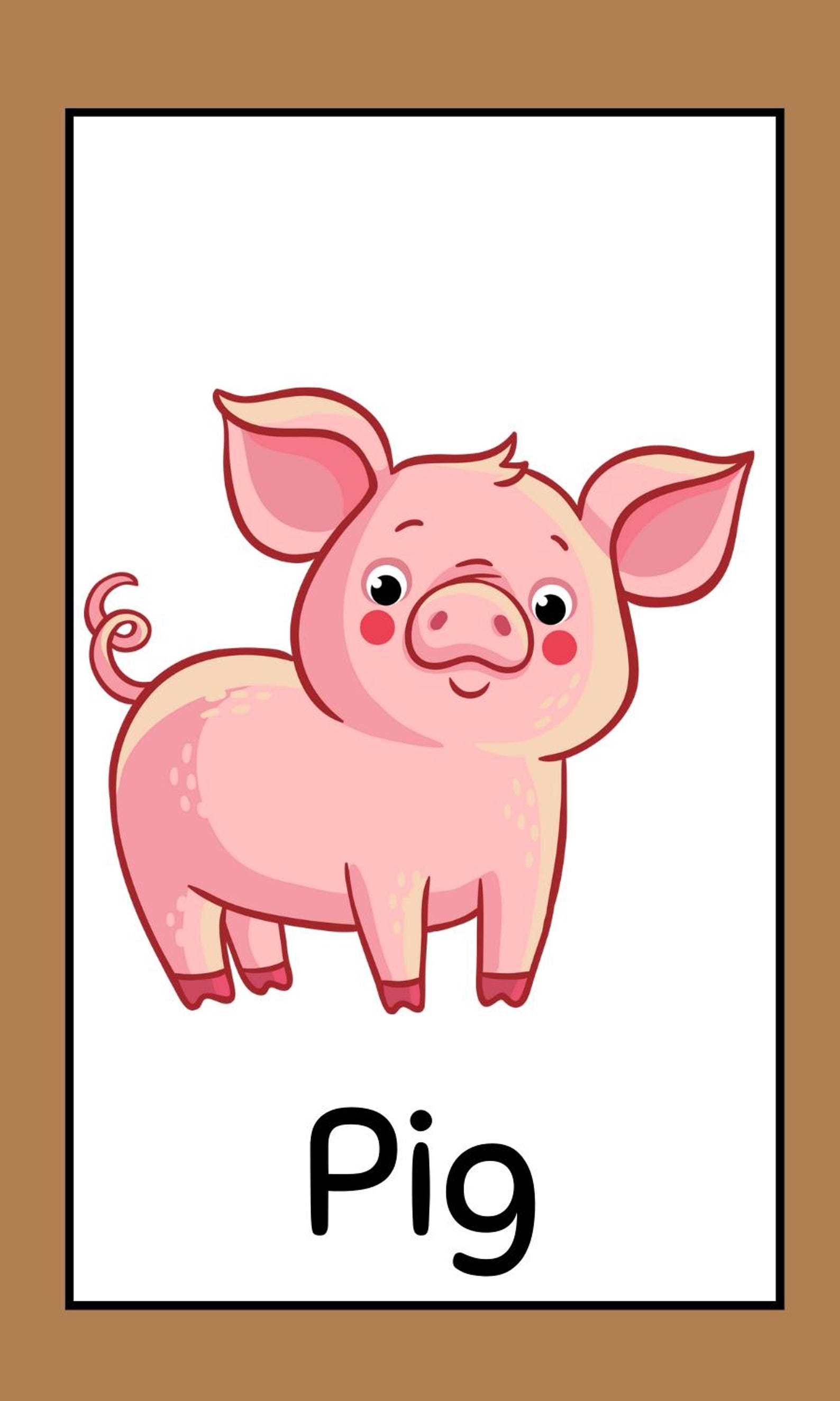 Animal Colorful Flashcards for Kids Set of 22 Common Animals Digital ...