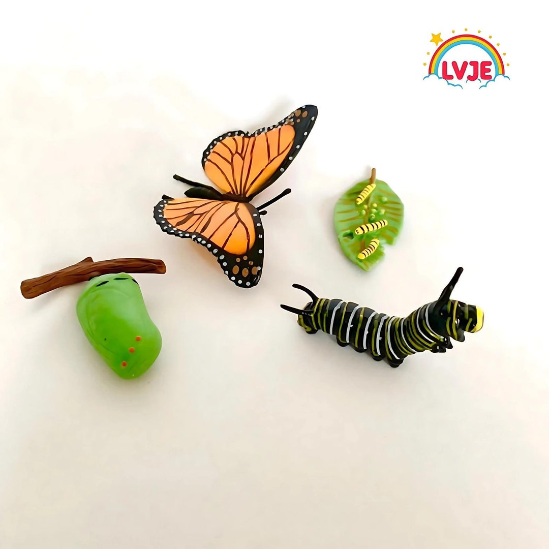 Montessori Butterfly Life Cycle Figurine Set - Educational Toys for ...