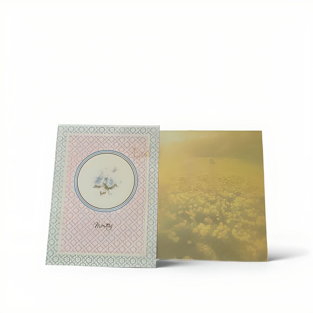 Vintage Lot of 2 Paper Pad. 8 Cards. Mead Montag Floral and Unbranded ...