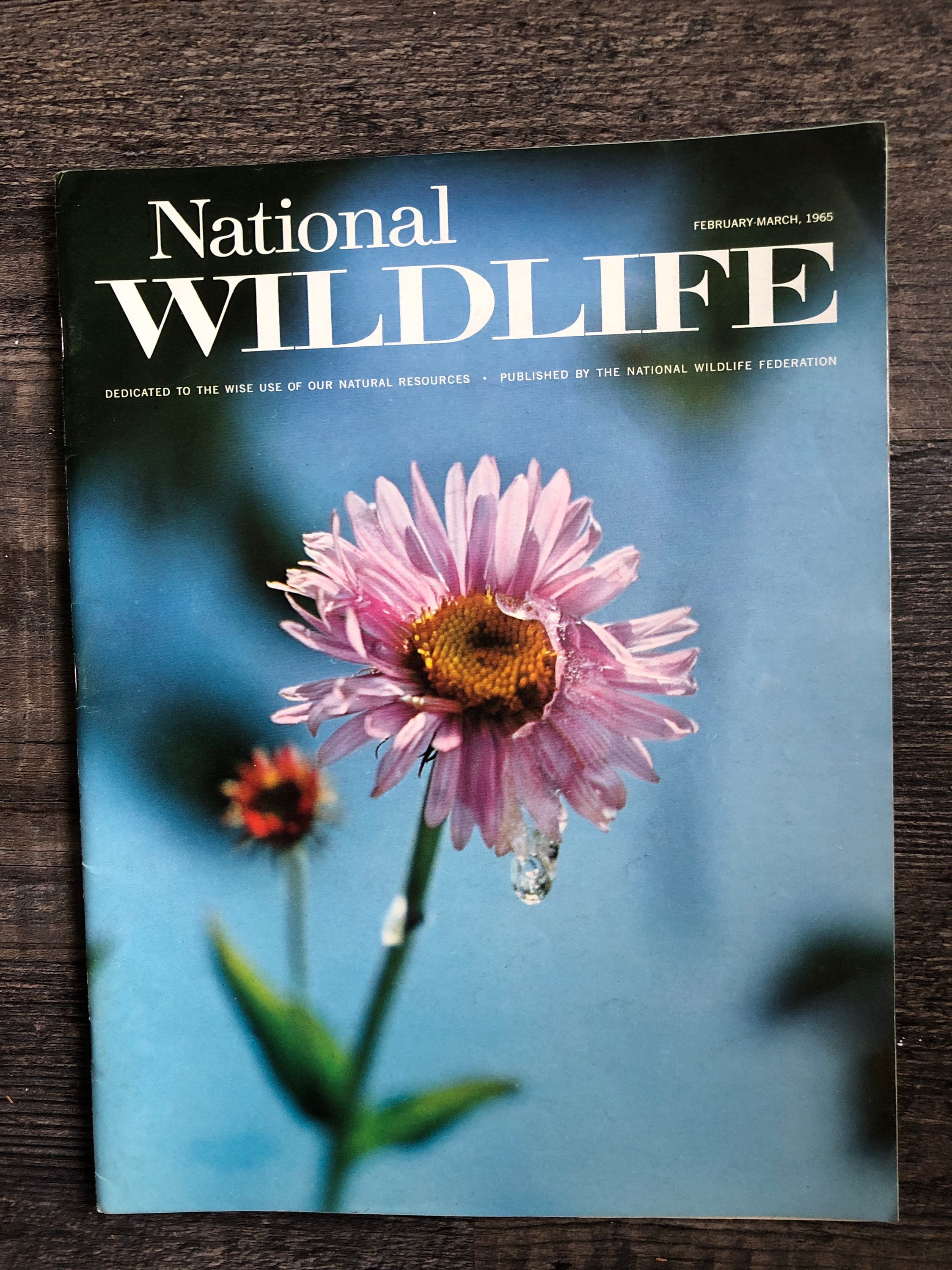 Lot of 6 Different National Wildlife Magazines. Used Very Good - Etsy UK