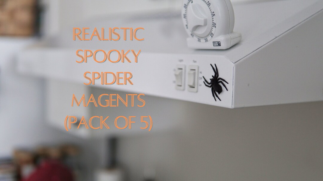 Spider Fridge Magnet Pack of 5 Stick-it-anywhere-metal Realistic Sized ...