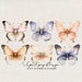 Watercolor Butterfly Clipart Design Clipart PNG Digital Download ...