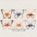 Watercolor Butterfly Clipart Design Clipart PNG Digital Download ...
