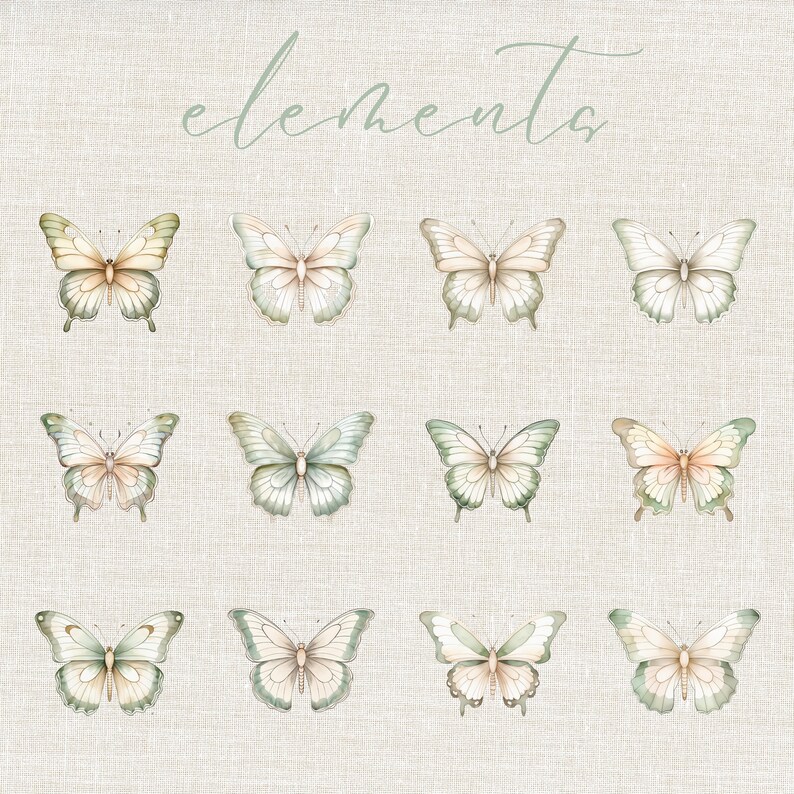 Neutral Green Butterfly Clipart Design Clipart PNG Digital Download ...