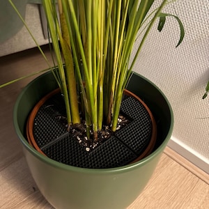 Plantsafe - Cat Proof Plant Soil Protector | Customizable to Any Size ...