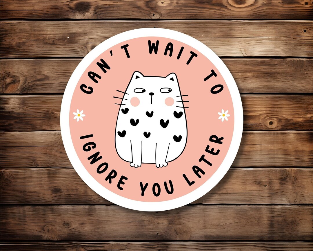 Funny Cat Ignore You Sticker, Cute Sarcastic Vinyl Decal, Waterproof ...