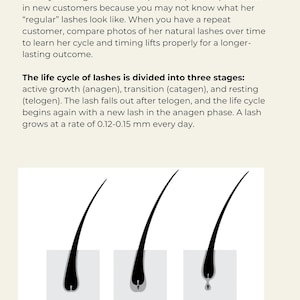Lash Lift Editable Manuals - Etsy