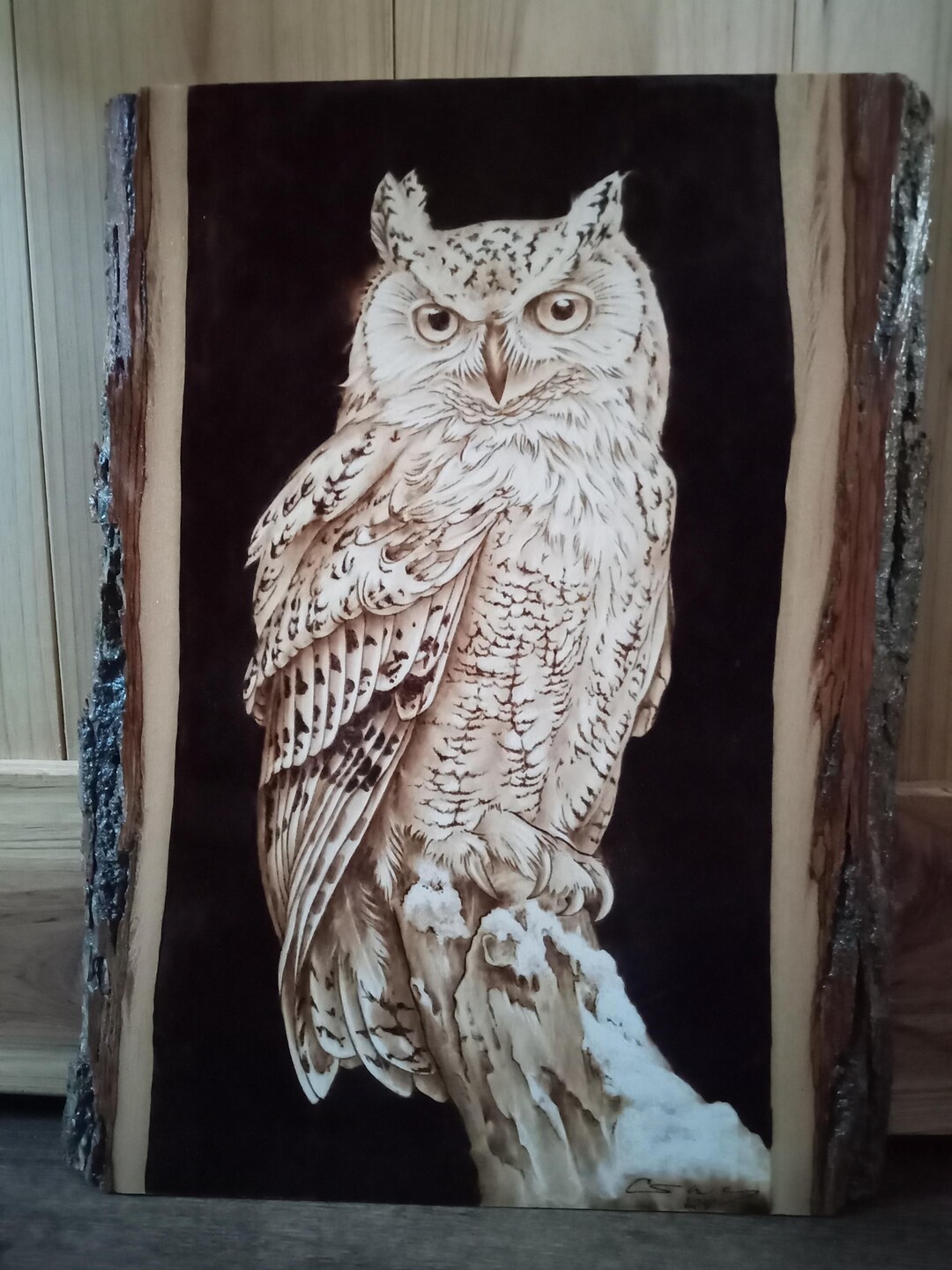 Hand Burned Owl, Original Art by Christopher W O'leary - Etsy