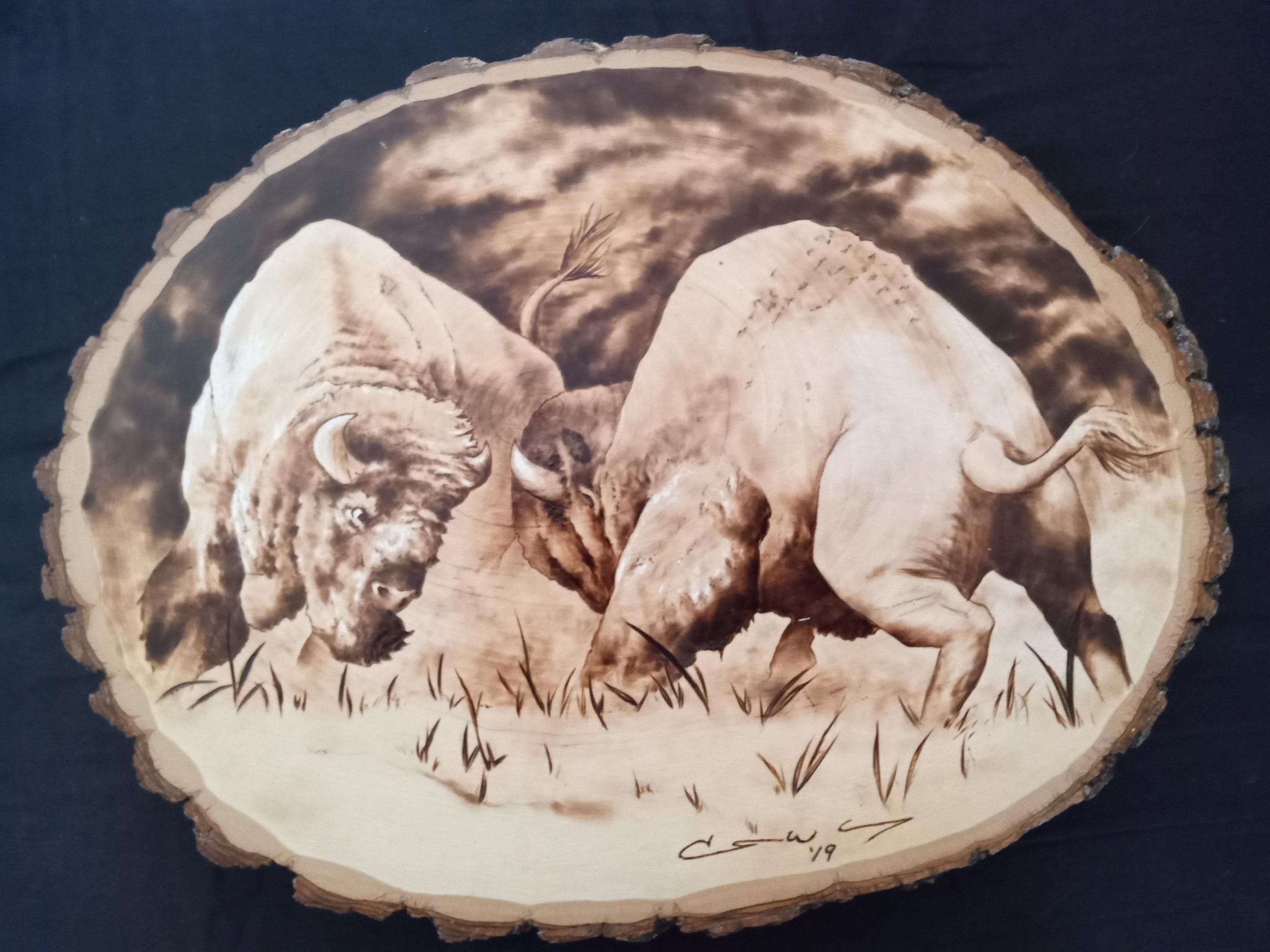Battling Buffalo Wood Burning, Original Art by Christopher W O'leary - Etsy