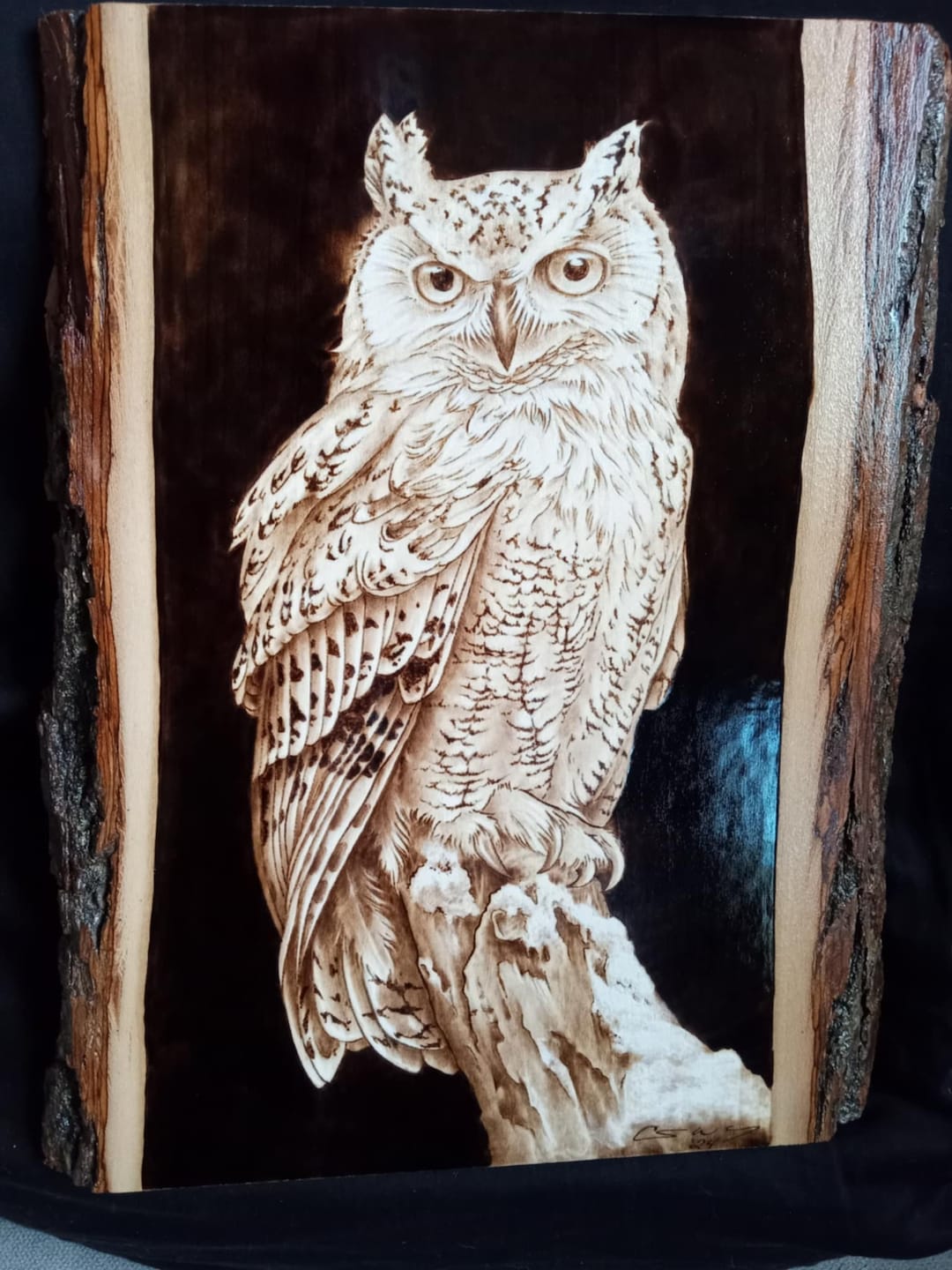 Owl Wood Burning, Original Art by Christopher W O'leary - Etsy
