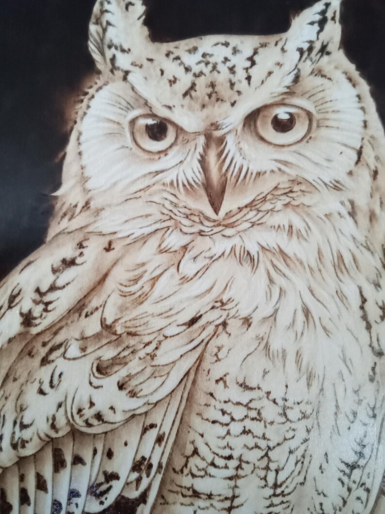Hand Burned Owl, Original Art by Christopher W O'leary - Etsy