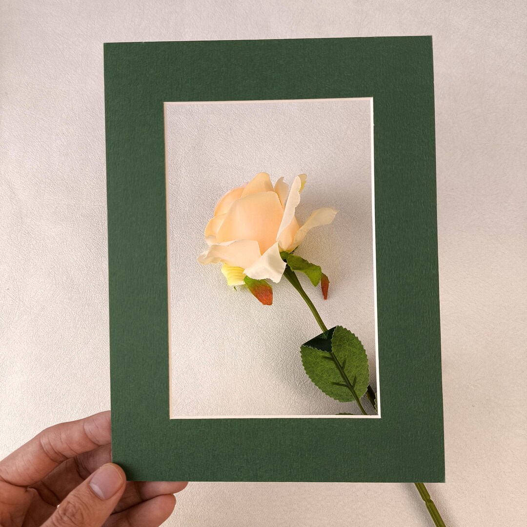 8x12 Photo Mats Premium Matboard Add a Mat to Your Picture Frame ...