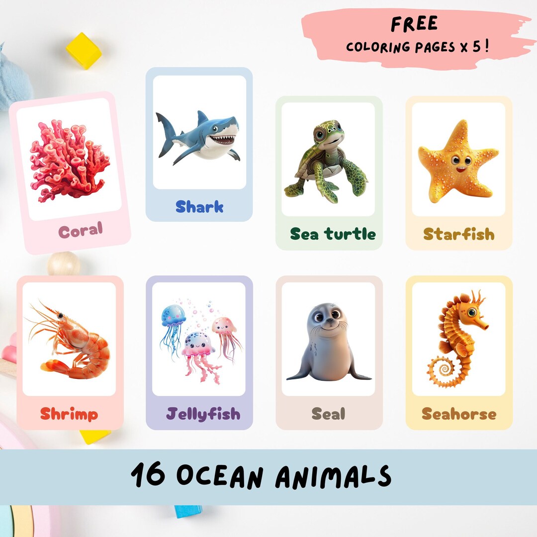 16 Ocean Animals Flash Cards, Homeschool, Toddler, Educational ...