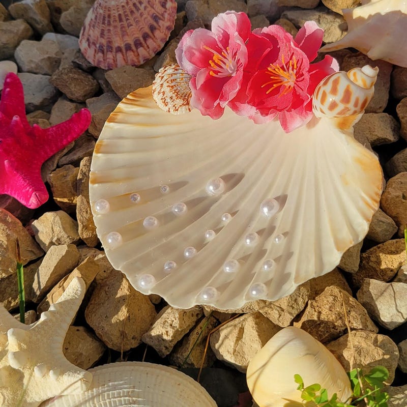 Seashell Ring Holder - Etsy