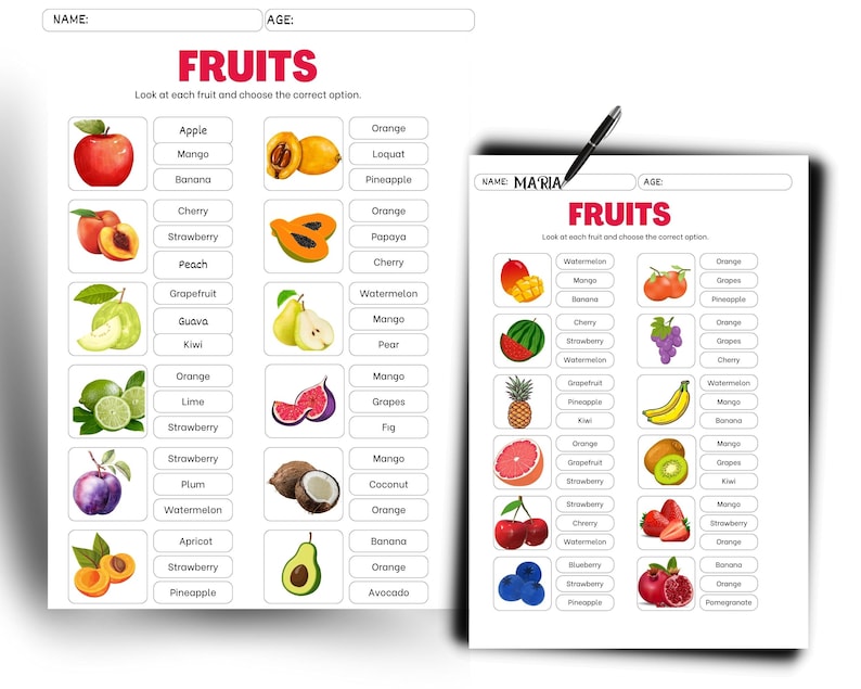 FRUITS VOCABULARY GAME - Etsy