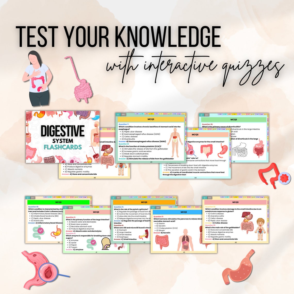 Digestive System Flashcards Bundle With Quiz Hyperlinked Human Body ...