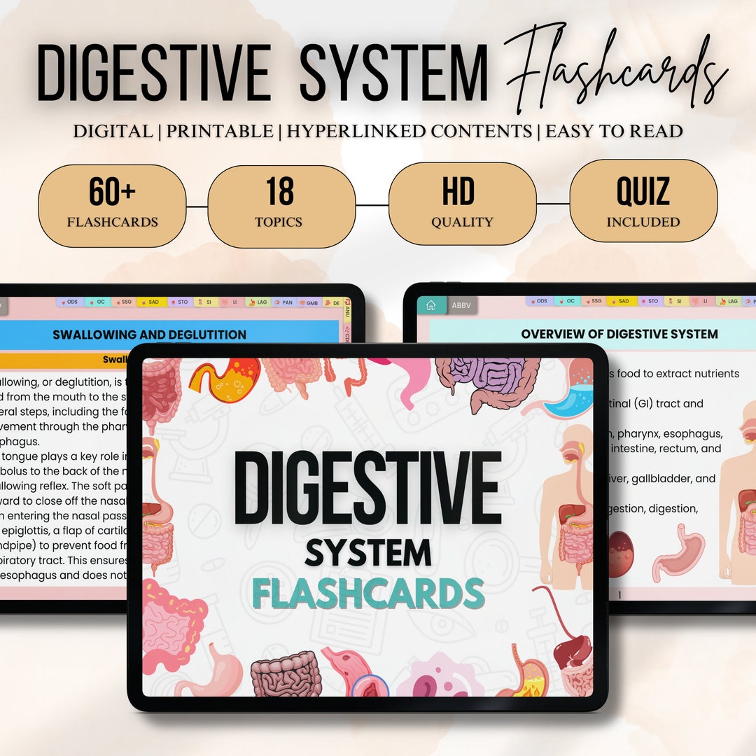 Digestive System Flashcards Bundle With Quiz Hyperlinked Human Body ...