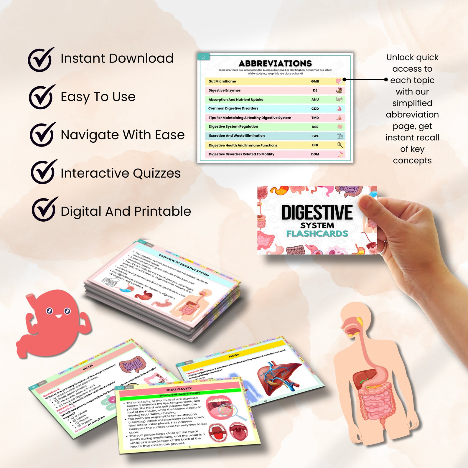 Digestive System Flashcards Bundle With Quiz Hyperlinked Human Body ...