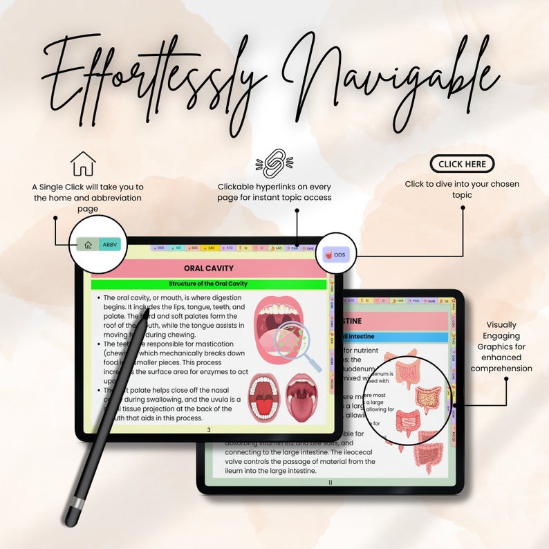 Digestive System Flashcards Bundle With Quiz Hyperlinked Human Body Flashcards Medical Study ...