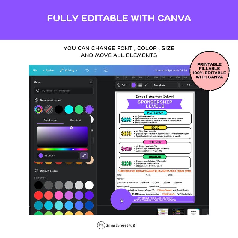 Editable Club Sponsorship Flyer Template: School PTO/PTA (digital ...