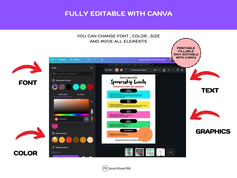 Editable Sponsorship Level Flyer Template: School PTA/PTO (digital ...