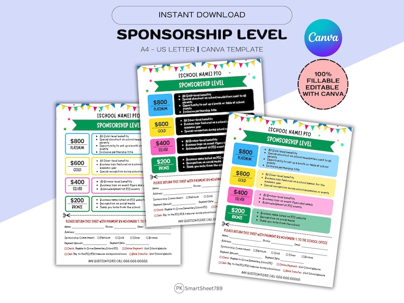 Sponsorship Level Flyer Printable Club Sponsorship Level Editable ...