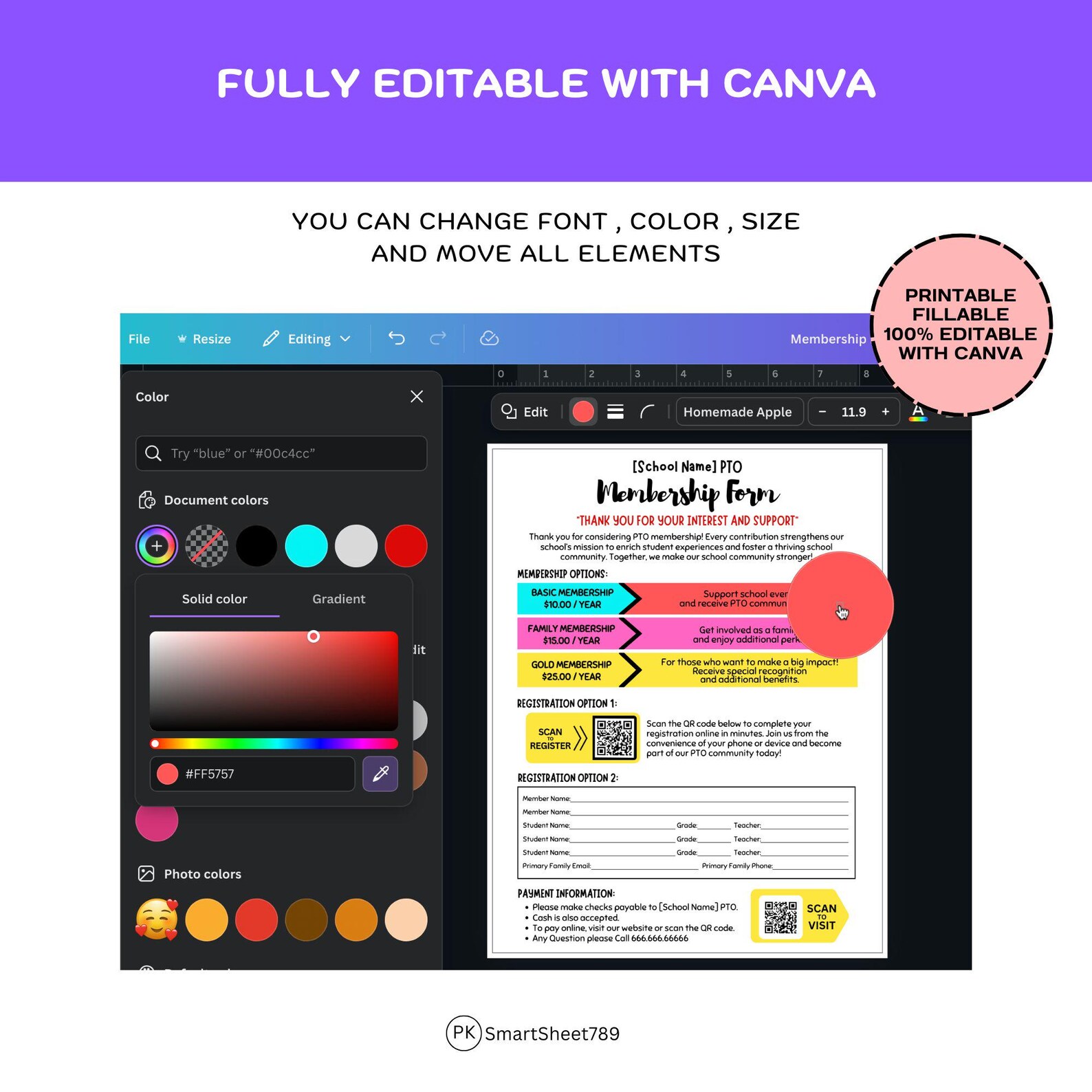 Editable PTO PTA Membership Form Flyer Template (digital Download) - Etsy