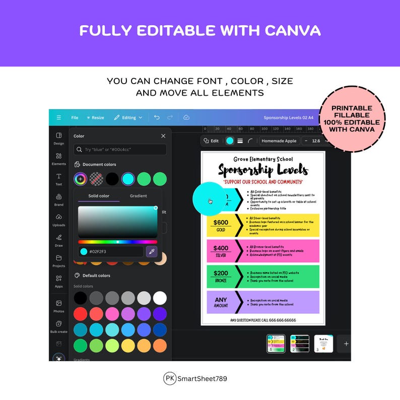 Editable Club Sponsorship Flyer Template: School PTA/PTO (canva ...