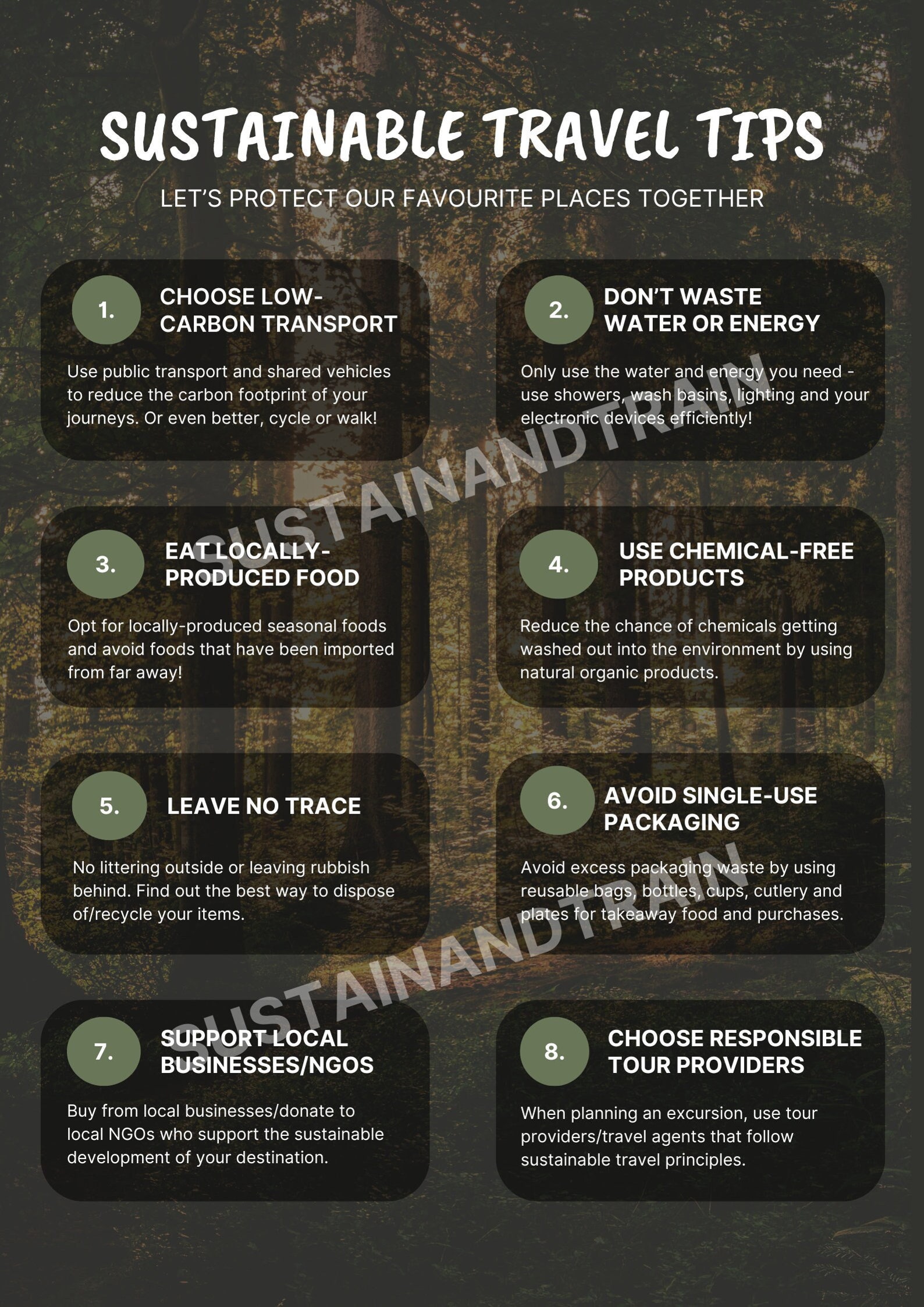 Sustainable Travel Tips Poster for Travellers and Tourists - Digital ...