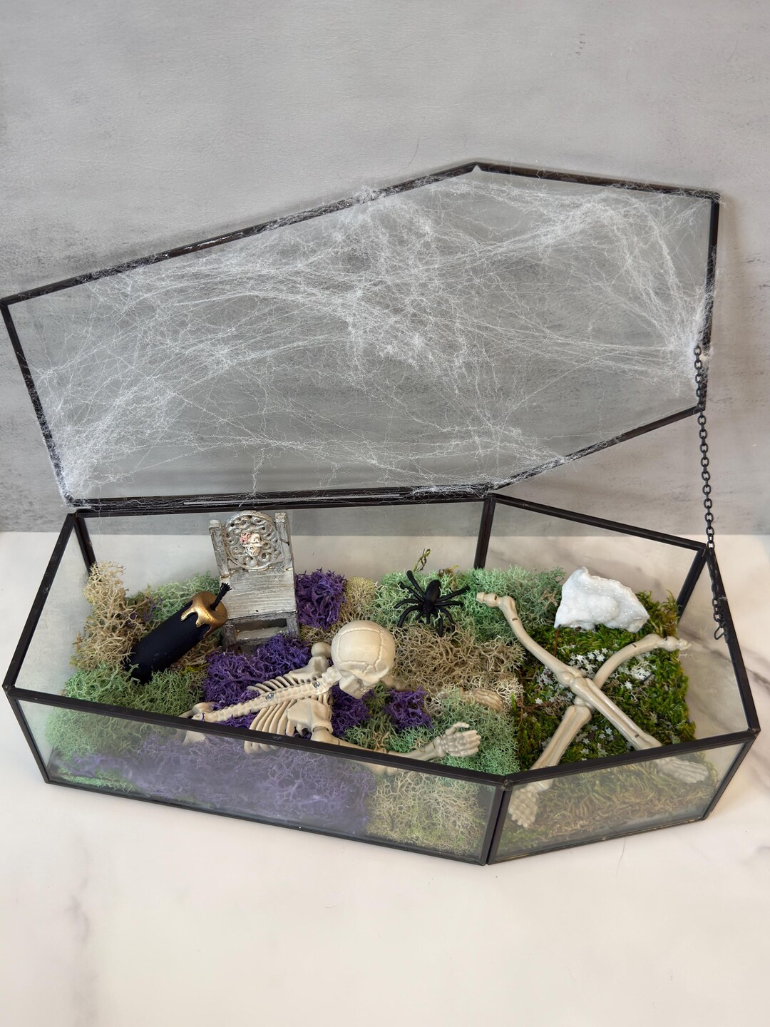 Gothic Skeleton Coffin Terrarium – Spooky Halloween Decor, Macabre Home ...