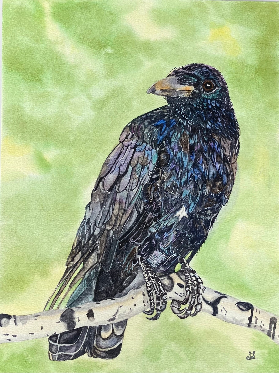 Raven Watercolor Painting. This is Not a Print! - Etsy