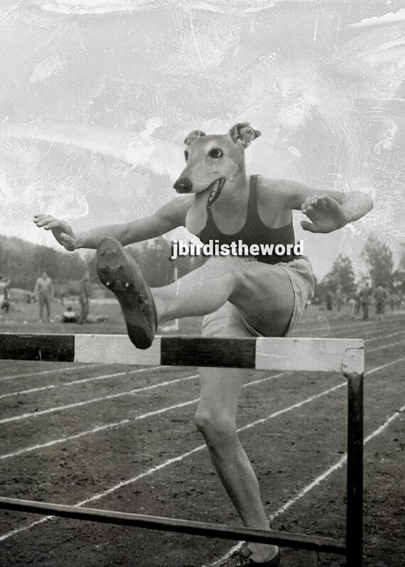 Track And Field Funny Photos